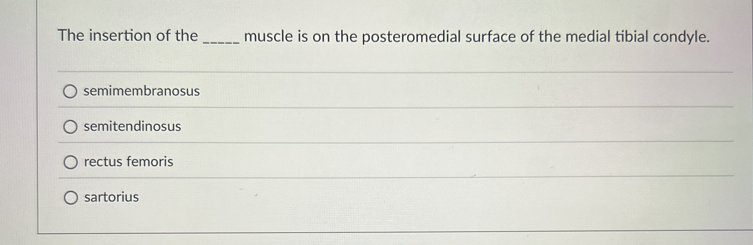 Solved The insertion of the q, ﻿muscle is on the | Chegg.com