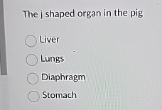 Solved The j shaped organ in the | Chegg.com