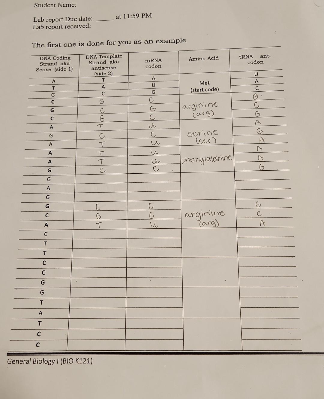 Solved Student Name: Lab report Due date: at 11:59 PM Lab | Chegg.com