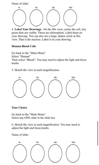 Figure 2. Preparation of a wet mount slide. In this | Chegg.com