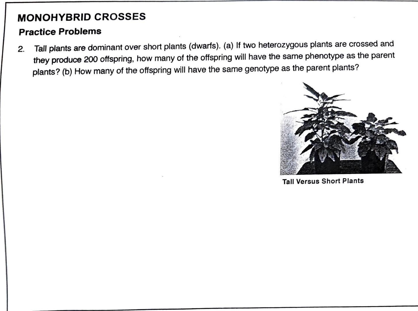 Monohybrid Cross Problems