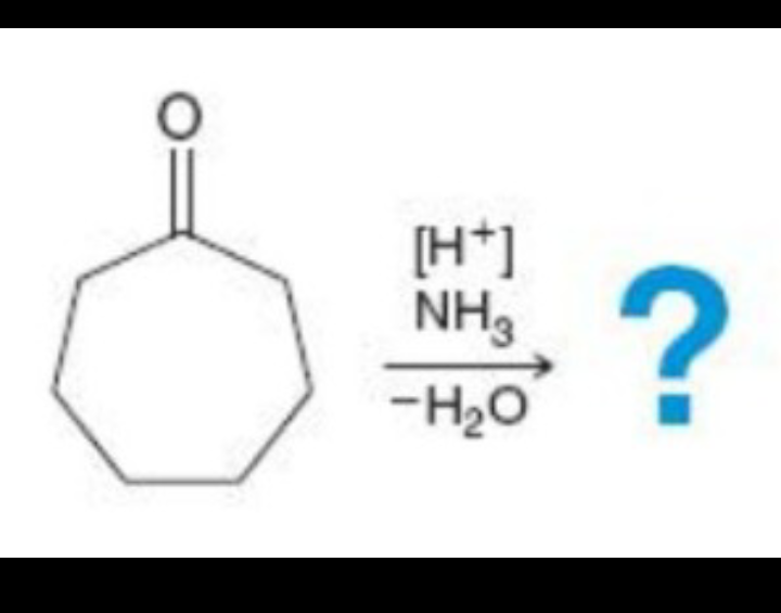 Solved Represent a mechanism for the addition of ammonia as | Chegg.com