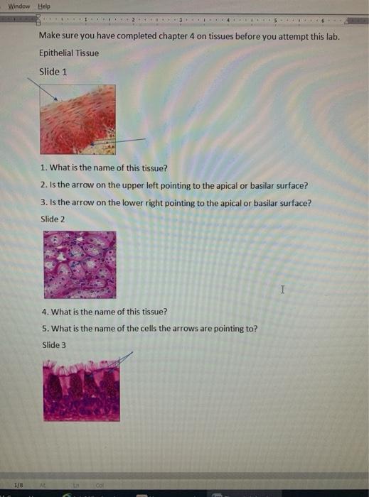Solved Window Help +) Make sure you have completed chapter 4 | Chegg.com