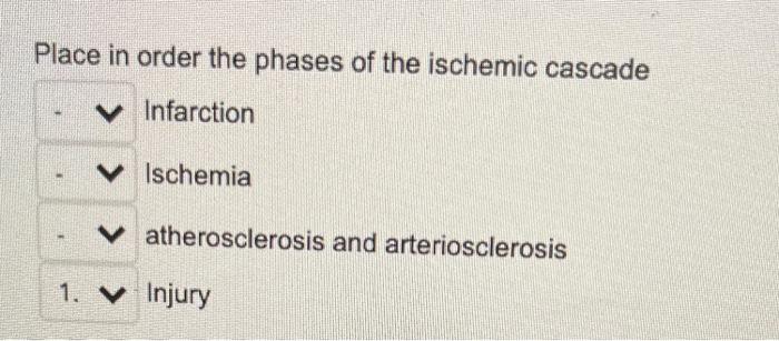 Solved Place in order the phases of the ischemic cascade V | Chegg.com