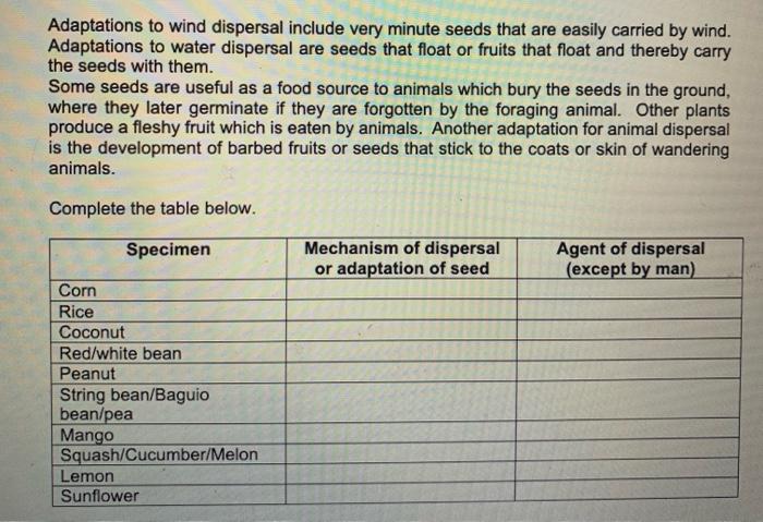 Solved Section C. Seed Dispersal Mechanisms Angiospems have | Chegg.com