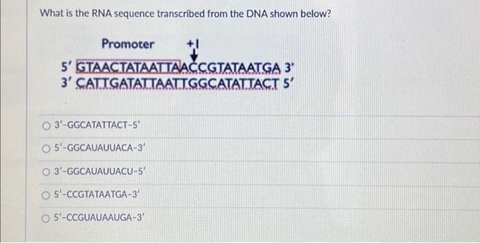 Solved What is the RNA sequence transcribed from the DNA | Chegg.com