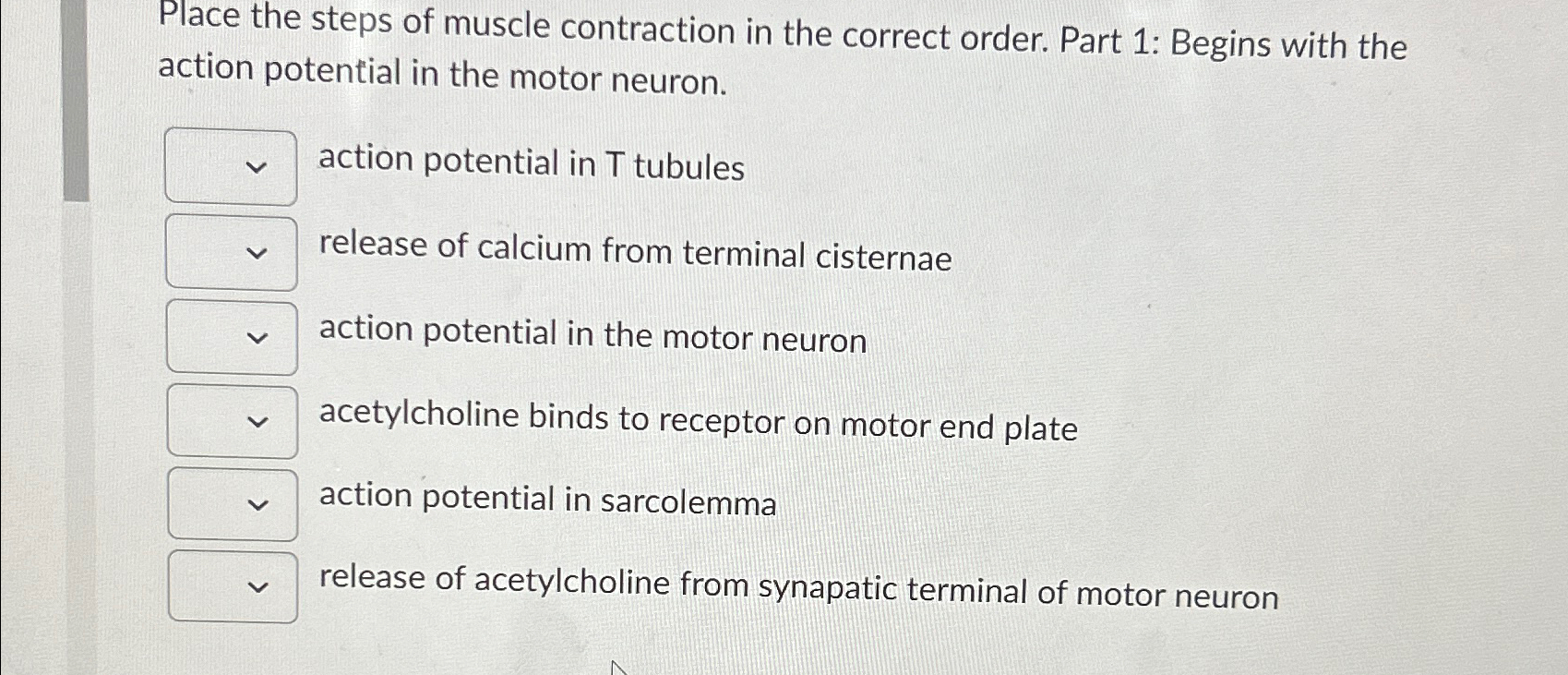 Solved Place the steps of muscle contraction in the correct | Chegg.com