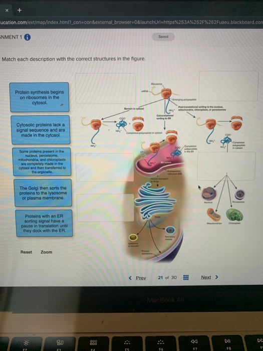 Solved Question | Chegg.com