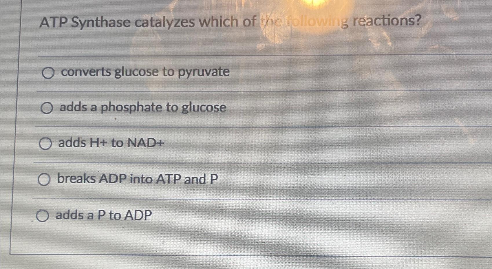 Solved ATP Synthase catalyzes which of the following | Chegg.com