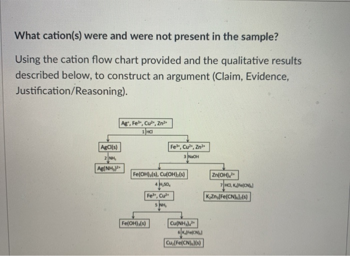 Solved Using the cation flow chart provided and the | Chegg.com