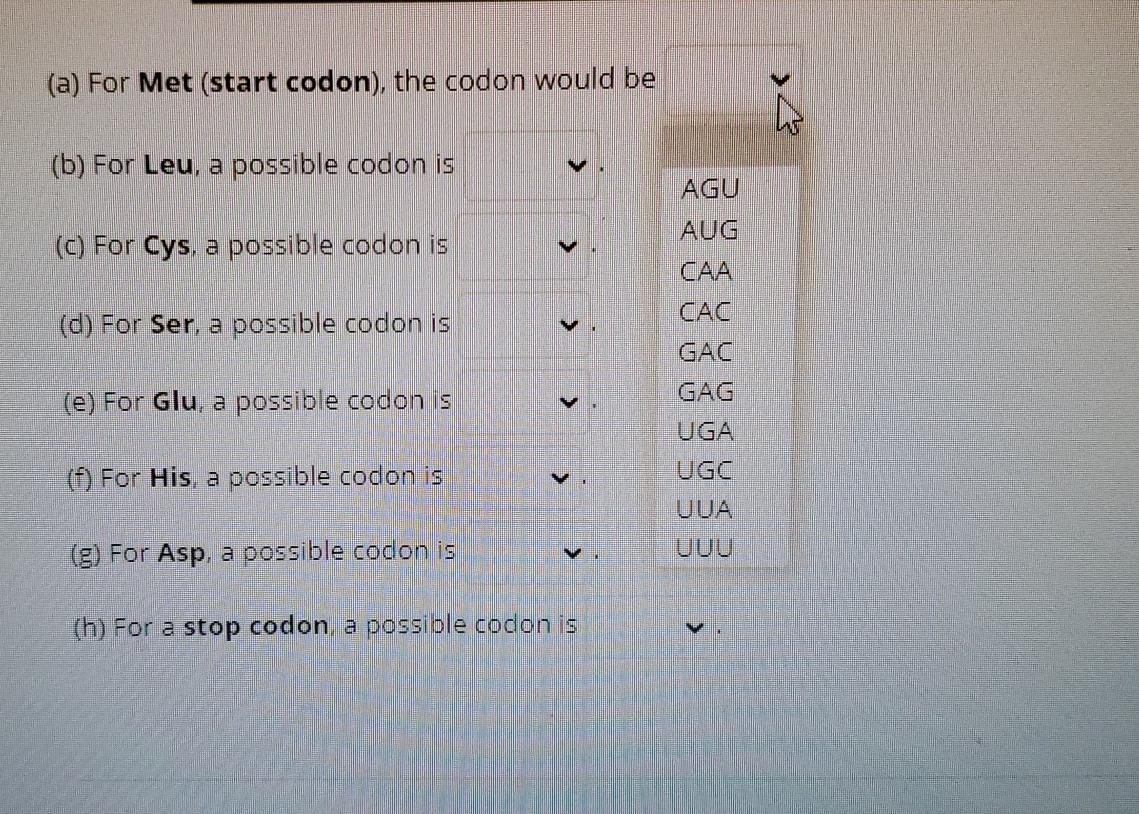 Solved Genetic (Codon) Dictionary Using the dictionary | Chegg.com