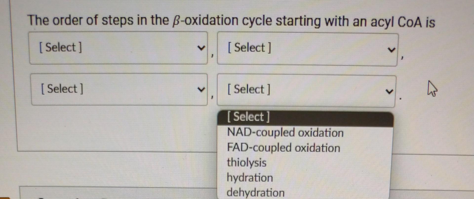 Solved The order of steps in the β-oxidation cycle starting | Chegg.com