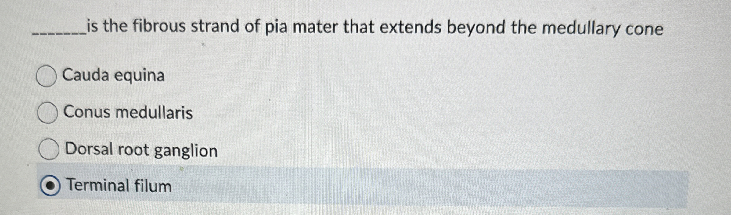 Solved is the fibrous strand of pia mater that extends | Chegg.com