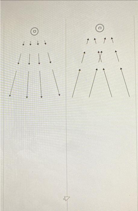 Solved Which of the following diagrams could represent an | Chegg.com