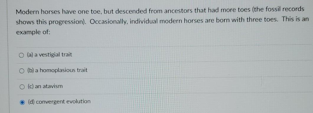 Solved Modern horses have one toe, but descended from | Chegg.com