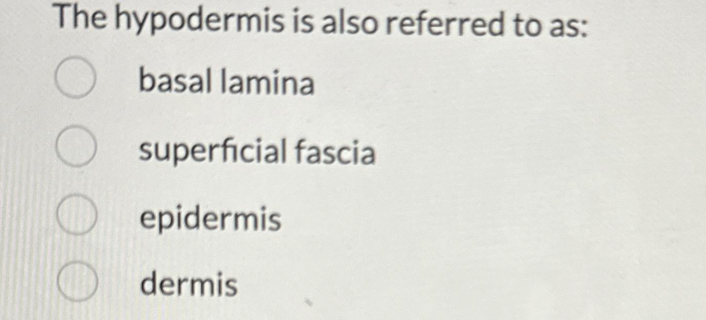 Solved The hypodermis is also referred to as:basal | Chegg.com