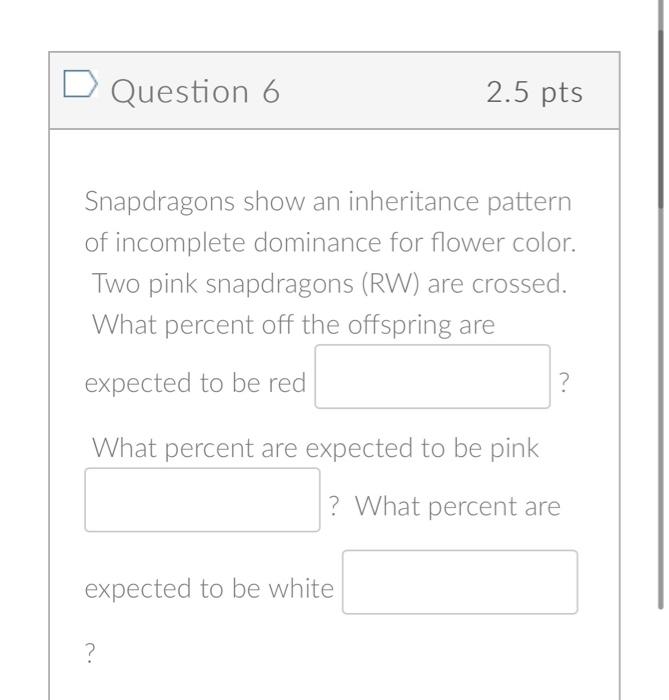 Solved D Question 6 Snapdragons show an inheritance pattern | Chegg.com