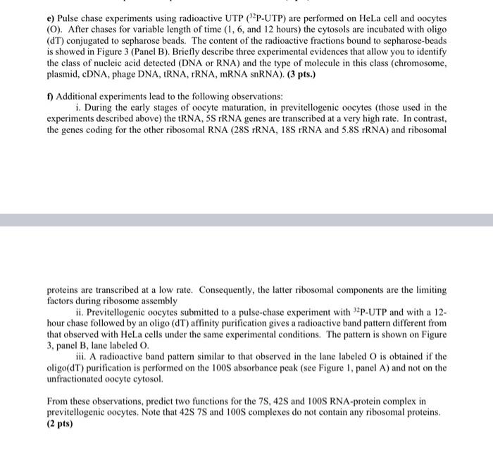 Solved e) Pulse chase experiments using radioactive UTP | Chegg.com