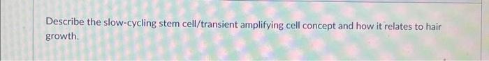 Solved Describe the slow-cycling stem cell/transient | Chegg.com
