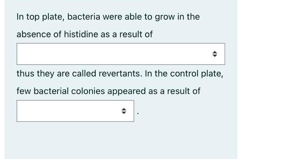 Solved The above shown image represents AMES test. Ames test | Chegg.com