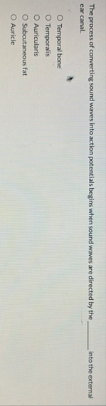 Solved The process of converting sound waves into action | Chegg.com