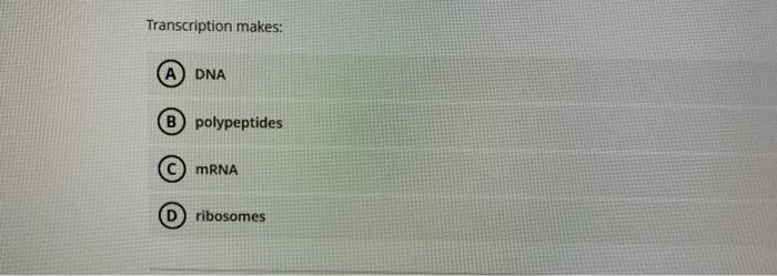 Solved Which of these shifts the reading frame and results | Chegg.com
