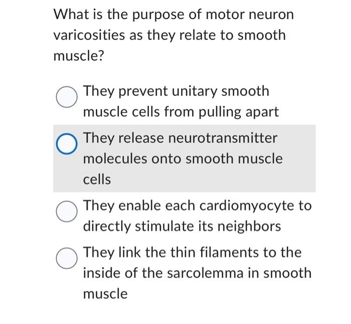 Solved What is the purpose of motor neuron varicosities as | Chegg.com