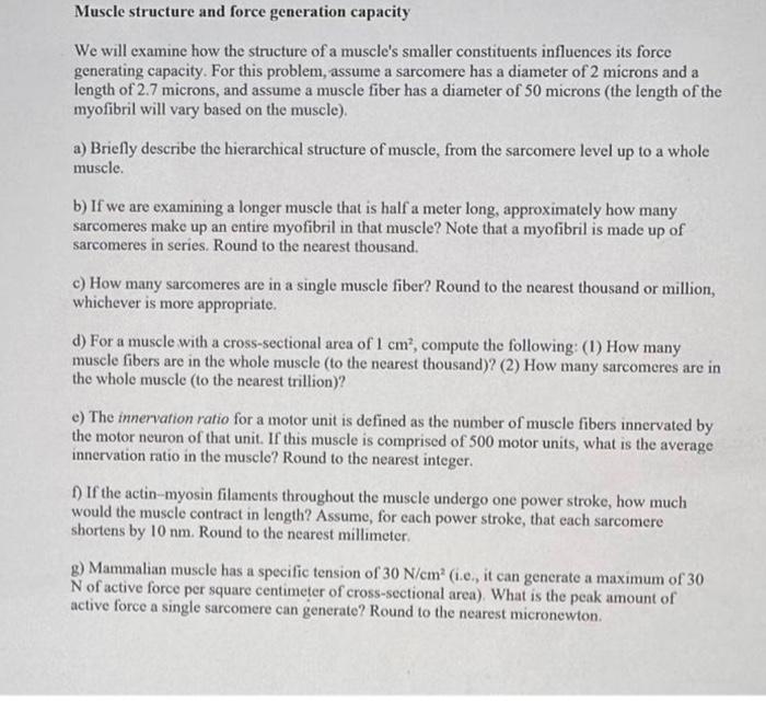 Muscle structure and force generation capacity We | Chegg.com