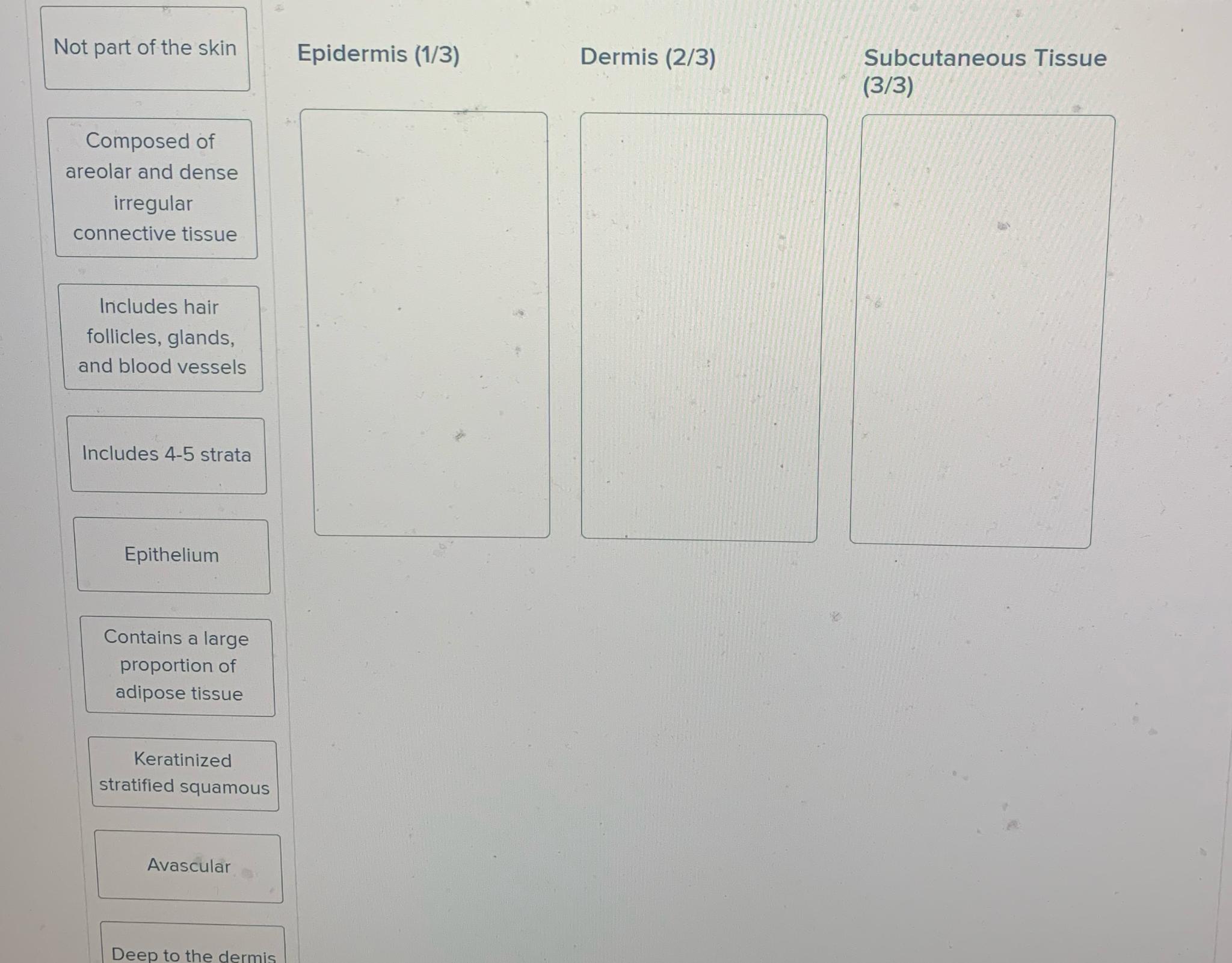 Solved Not part of the skinComposed of areolar and dense | Chegg.com
