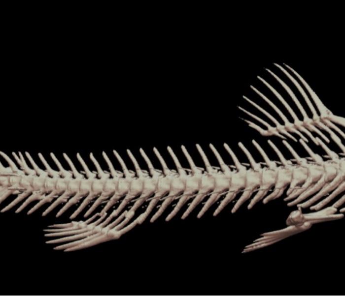 Solved 1 | Chegg.com