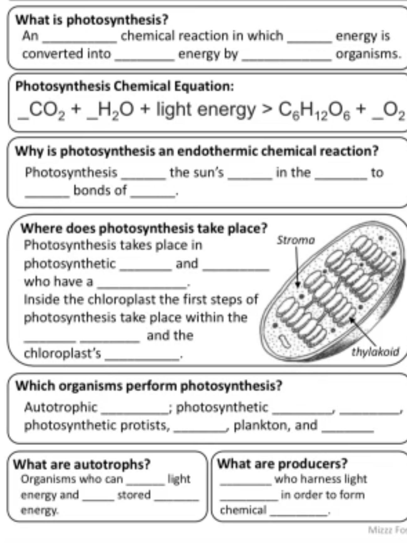 Solved What is photosynthesis?An chemical reaction in which | Chegg.com