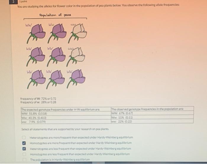 Solved frequency of W:72% or 0.72 frequency of w: 28% or | Chegg.com Solved frequency of W:72% or 0.72 frequency of w: 28% or | Chegg.com