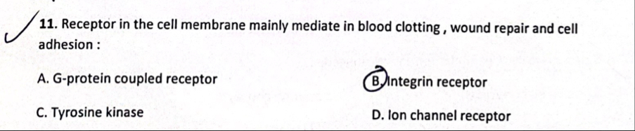 Solved Receptor in the cell membrane mainly mediate in blood | Chegg.com
