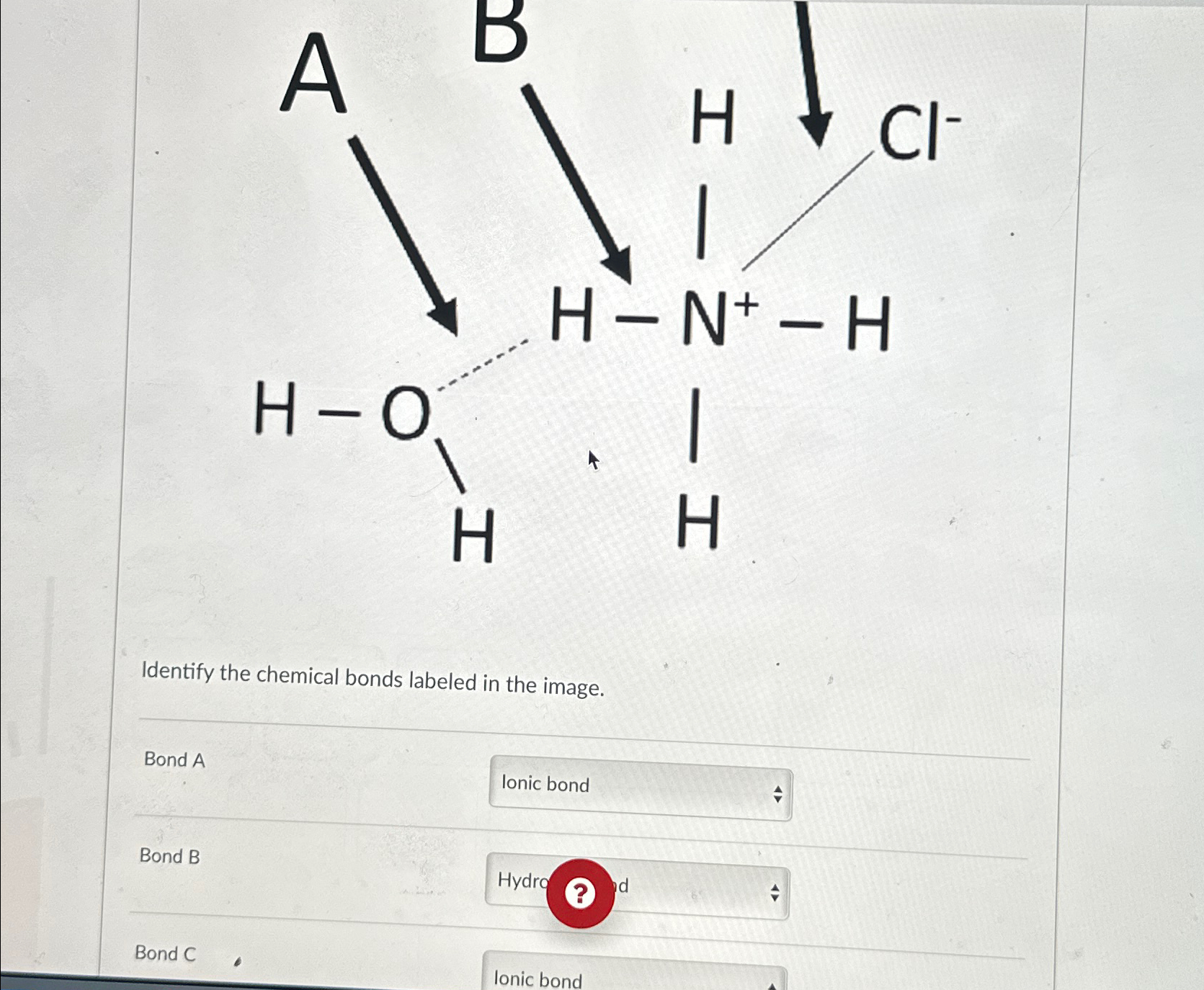 Solved Examine the following molecules. H2O ﻿is water, and | Chegg.com