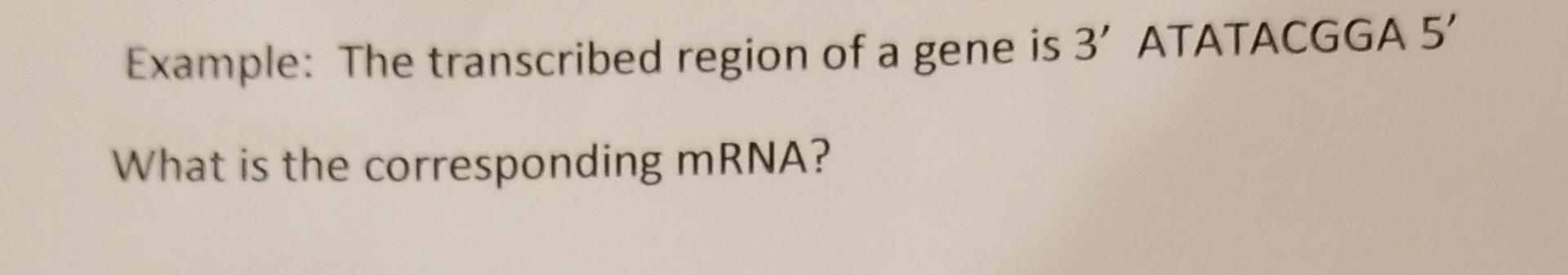 Solved Example: The transcribed region of a gene is 3′ | Chegg.com