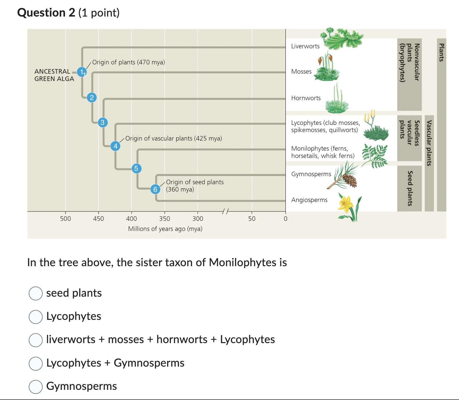 Solved Question 2 (1 ﻿point)In the tree above, the sister | Chegg.com