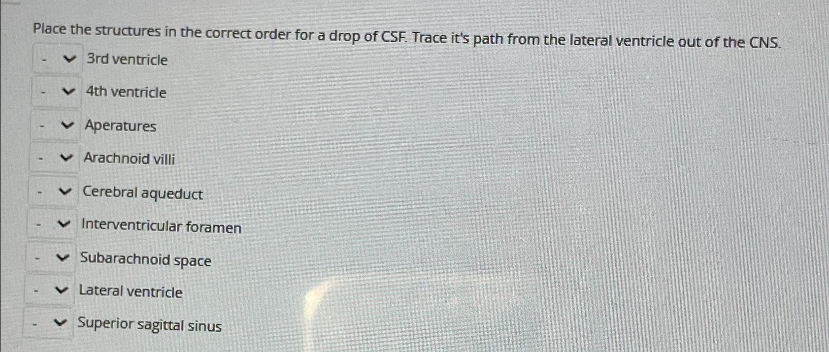 Solved Place the structures in the correct order for a drop | Chegg.com