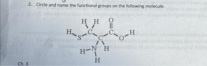Solved 2. Circle and name the functional groups on the | Chegg.com
