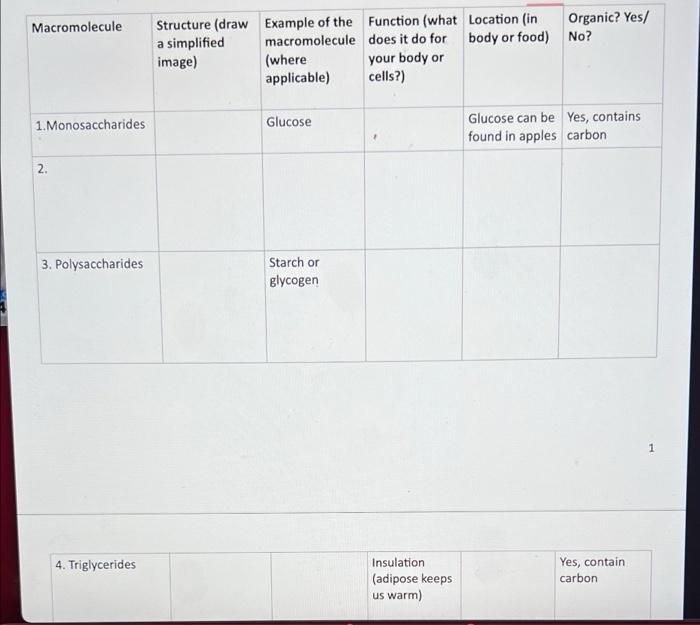 Solved Macromolecule Structure (draw Example of the Function | Chegg.com