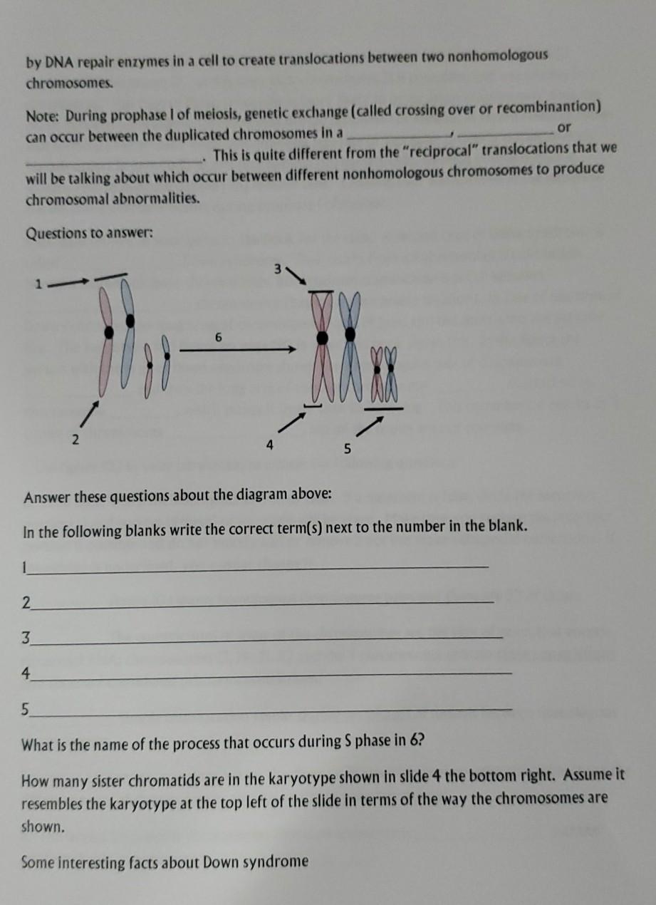 Solved There are two types of chromosomal inversions. One | Chegg.com