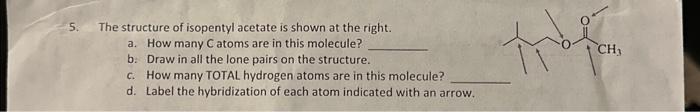 Solved 5. The structure of isopentyl acetate is shown at the | Chegg.com