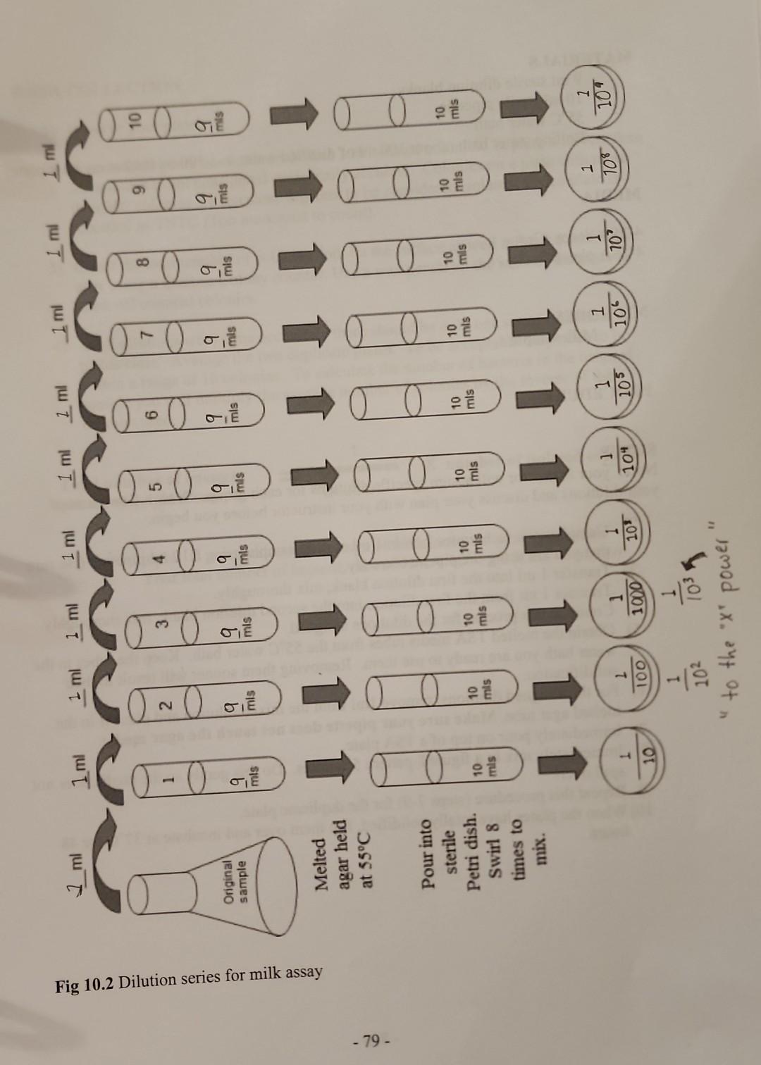 Solved 1) Draw an illustration of the streaking for | Chegg.com