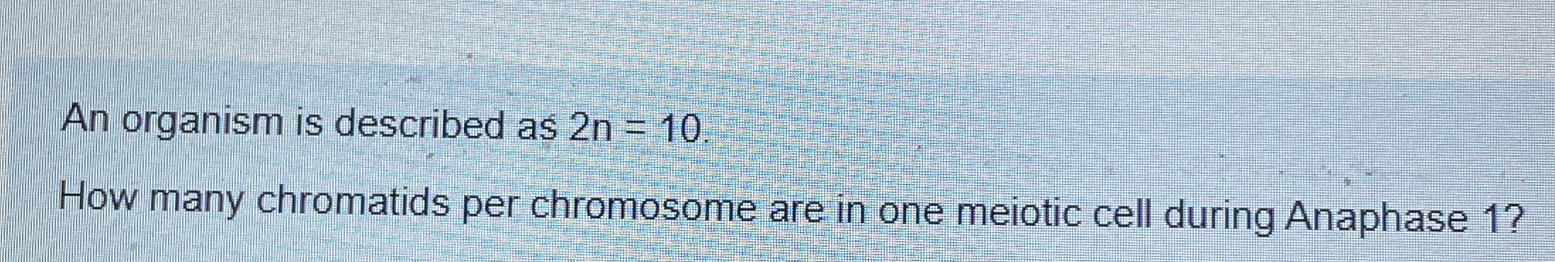 Solved An organism is described as 2n=10.How many chromatids | Chegg.com