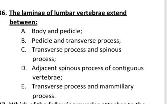 Solved 6. The laminae of lumbar vertebrae extend between: A. | Chegg.com