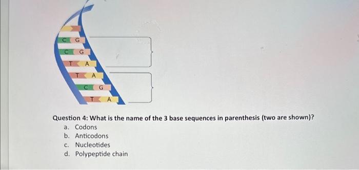 what is the name of the three base sequences in | Chegg.com