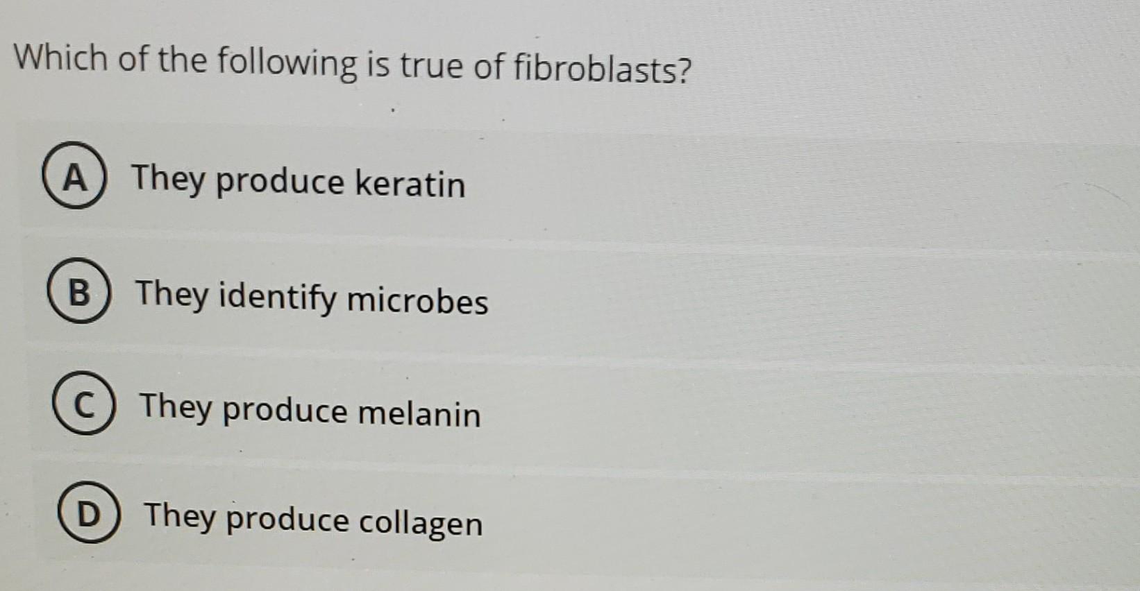 Solved Which of the following is true of fibroblasts? A They | Chegg.com