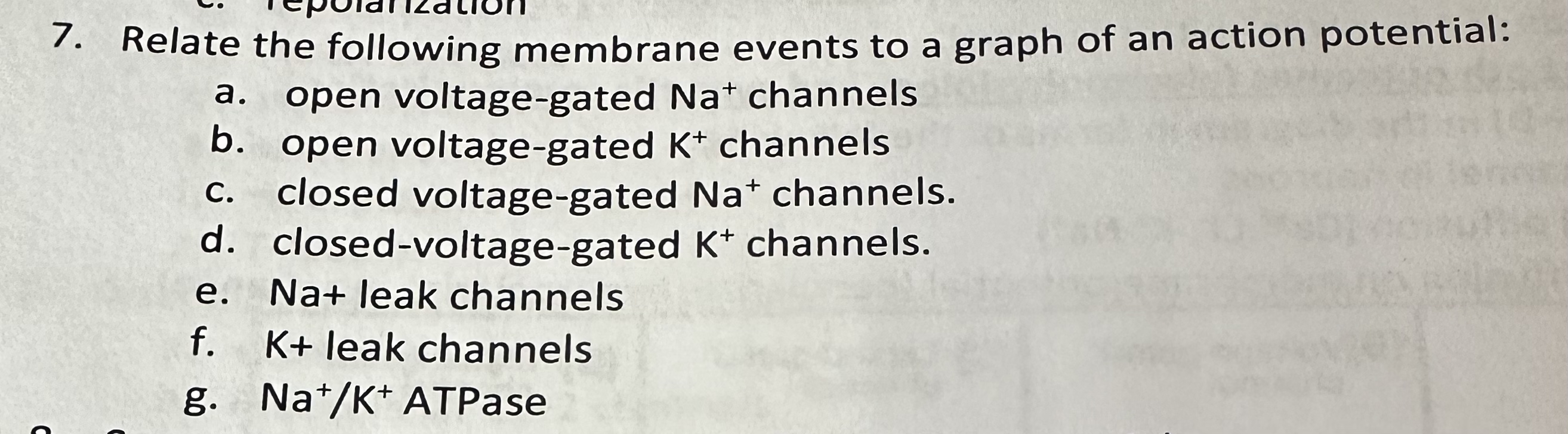 Solved Relate the following membrane events to a graph of an | Chegg.com