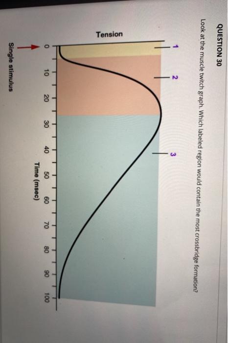 Solved QUESTION 30 Look at the muscle twitch graph. Which | Chegg.com
