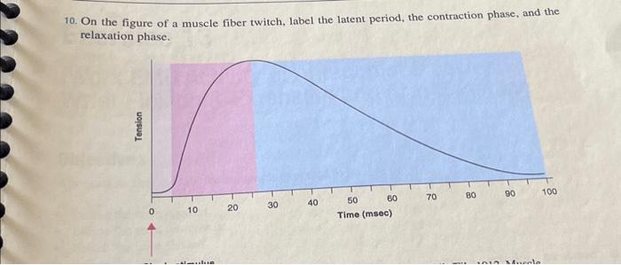 Solved 10. On the figure of a muscle fiber twitch, label the | Chegg.com