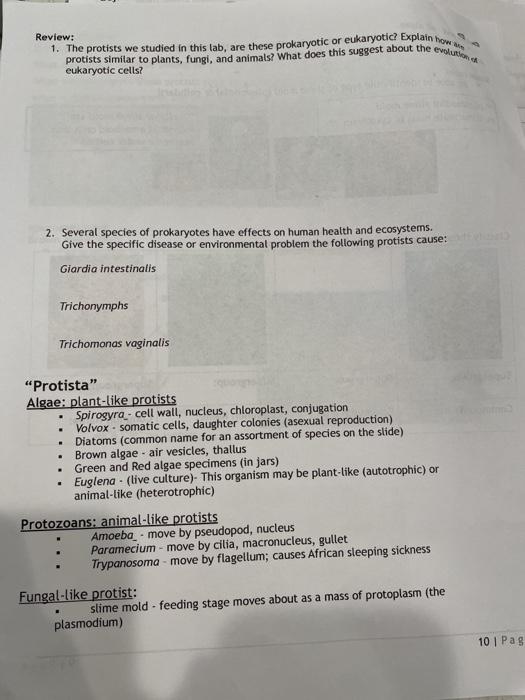 Solved 1. The protists we studied in this lab, are these | Chegg.com